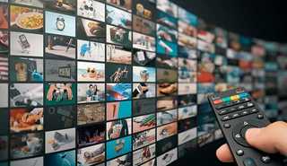 Netflix Roulette Movie and TV Show Recommendations | TV Roulette